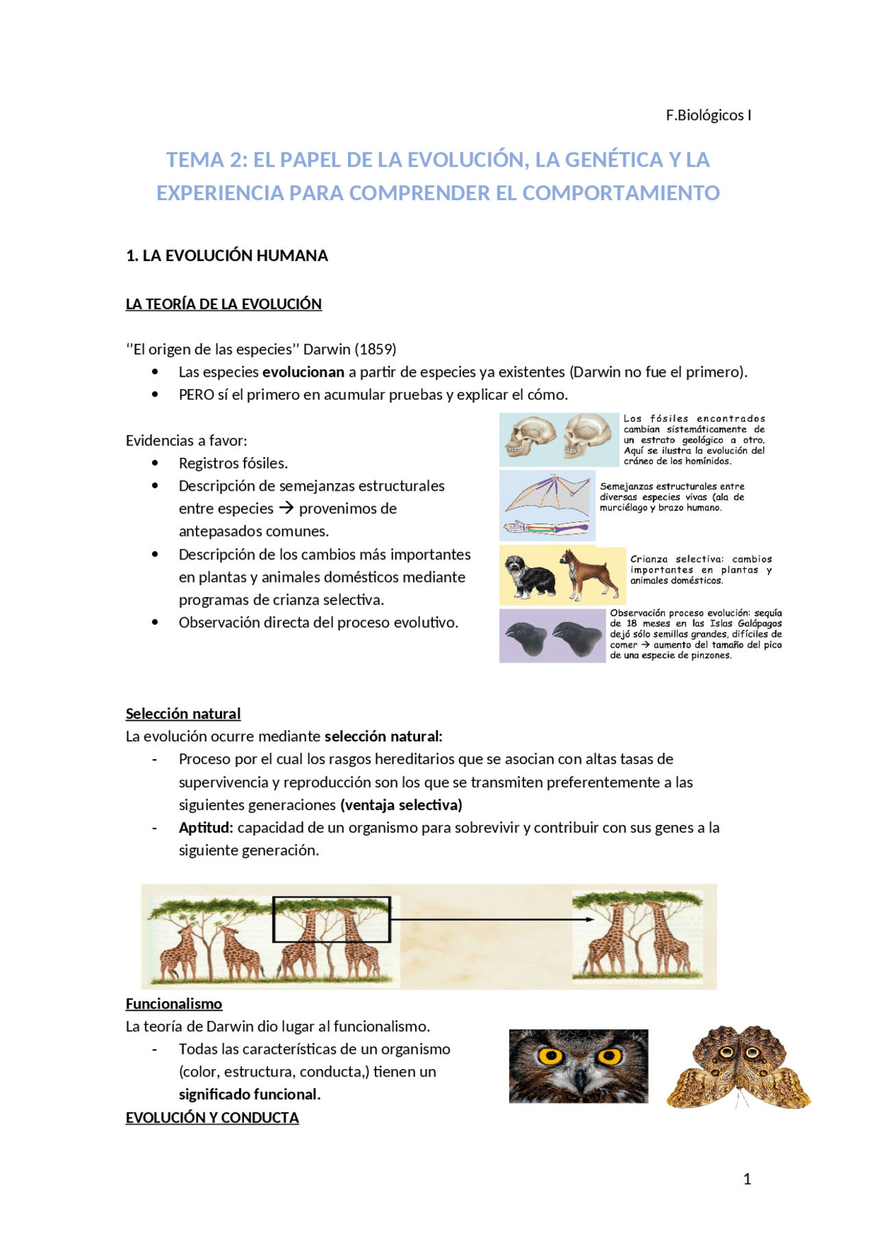 Fundamentos Biológicos 1 Docsity