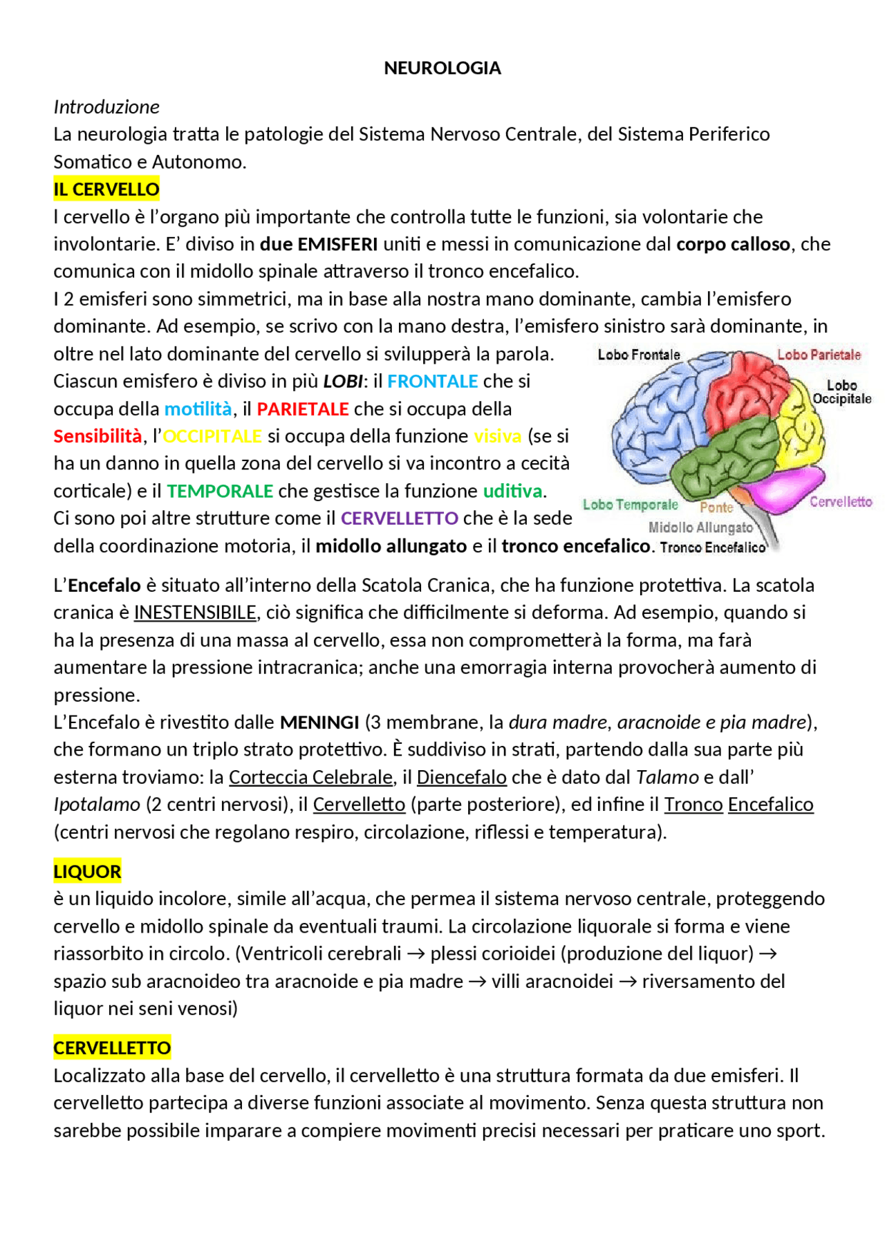 Neurologia Per Blocco Esame Di Neuroscienze Per Scienze Motorie Docsity