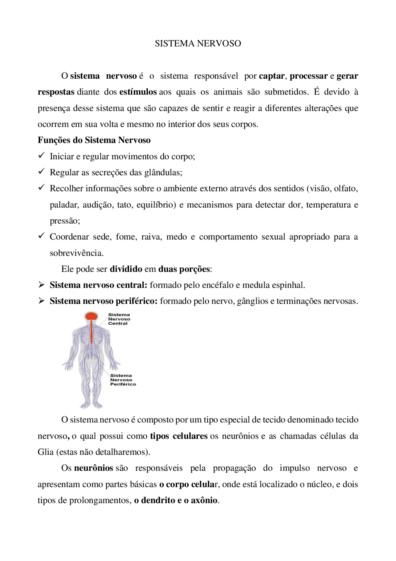 Aula Sistema Nervoso Docsity