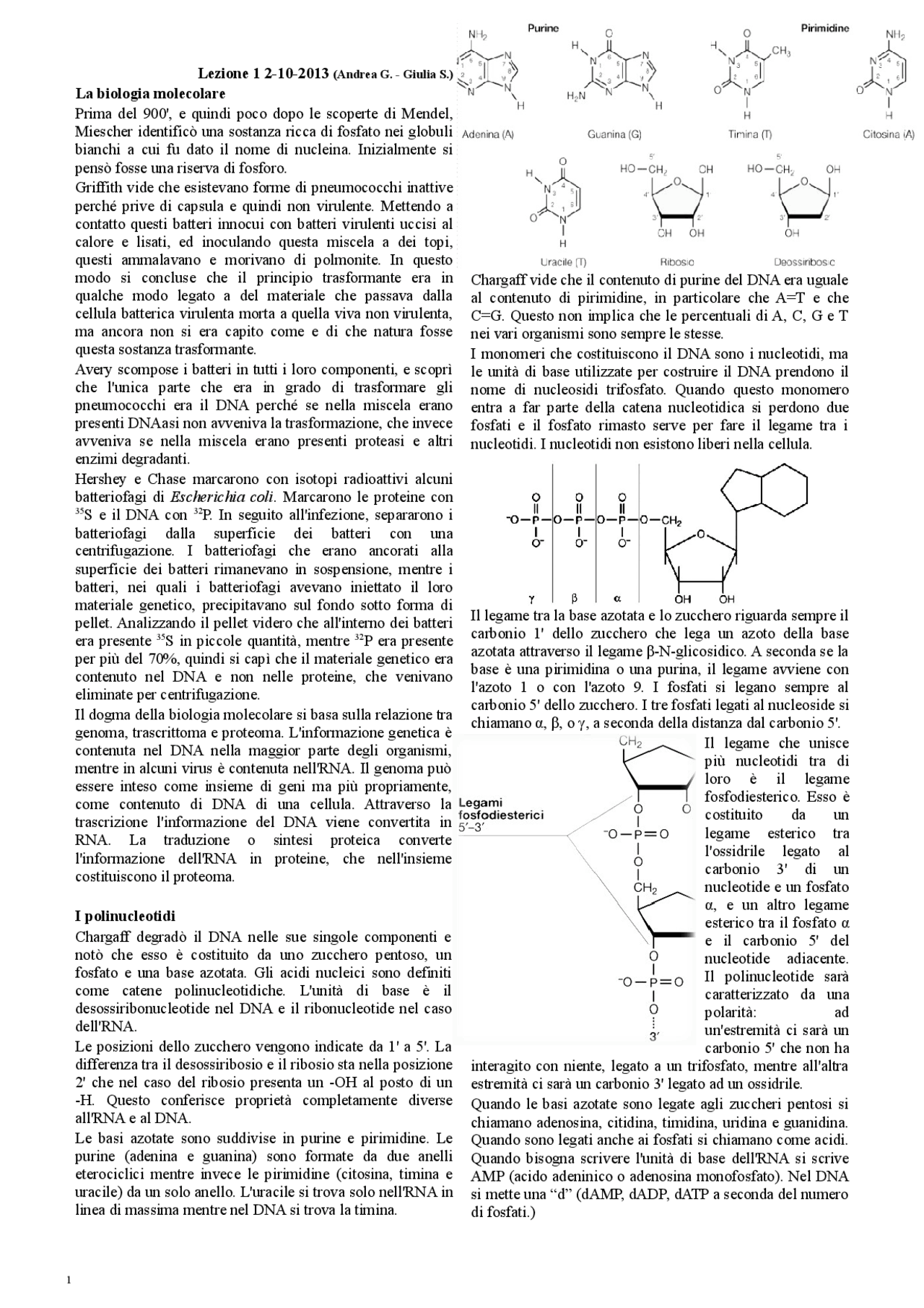 Riassunto Biologia Molecolare Docsity