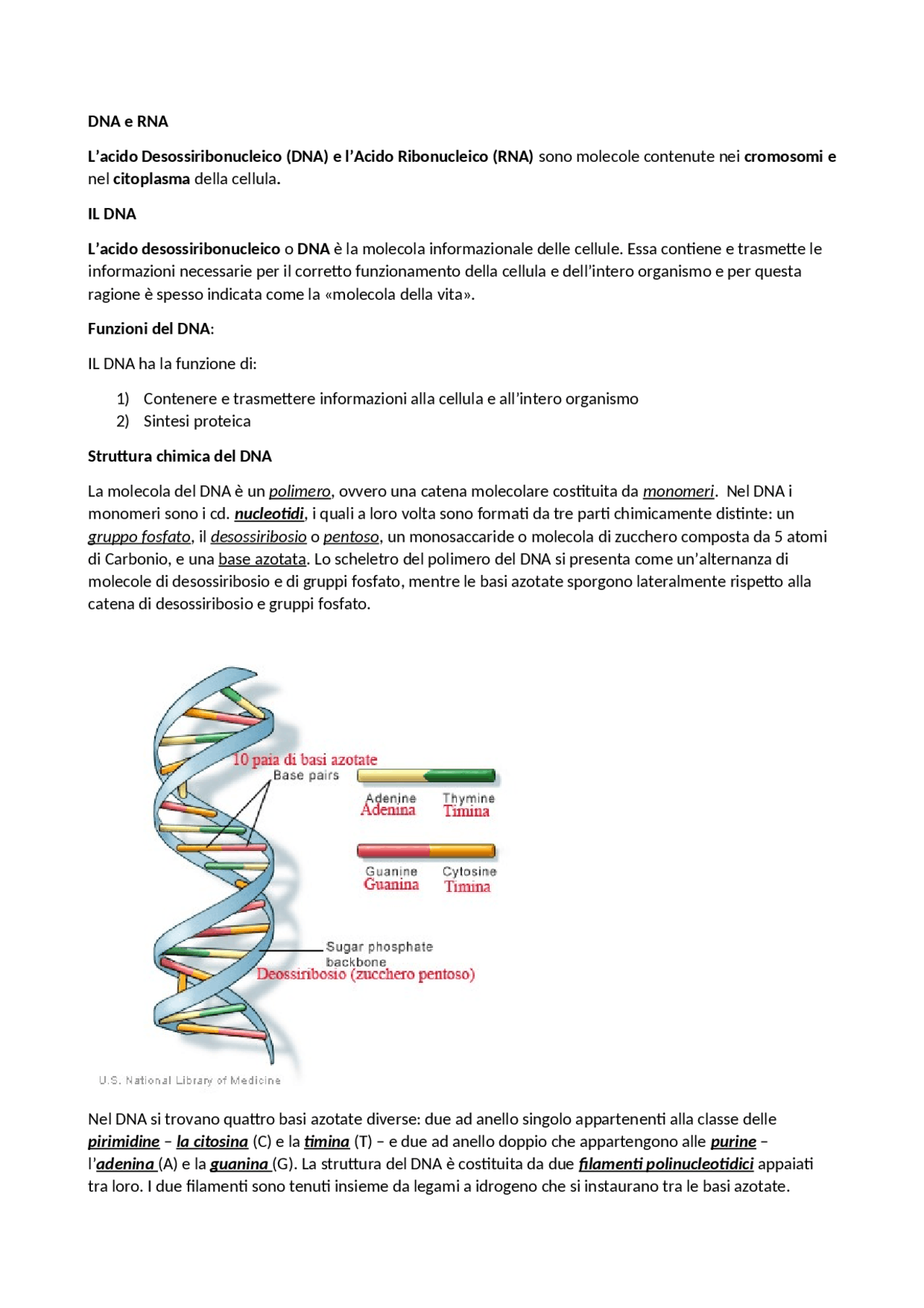 LA CELLULA: IL DNA e l'RNA - Docsity
