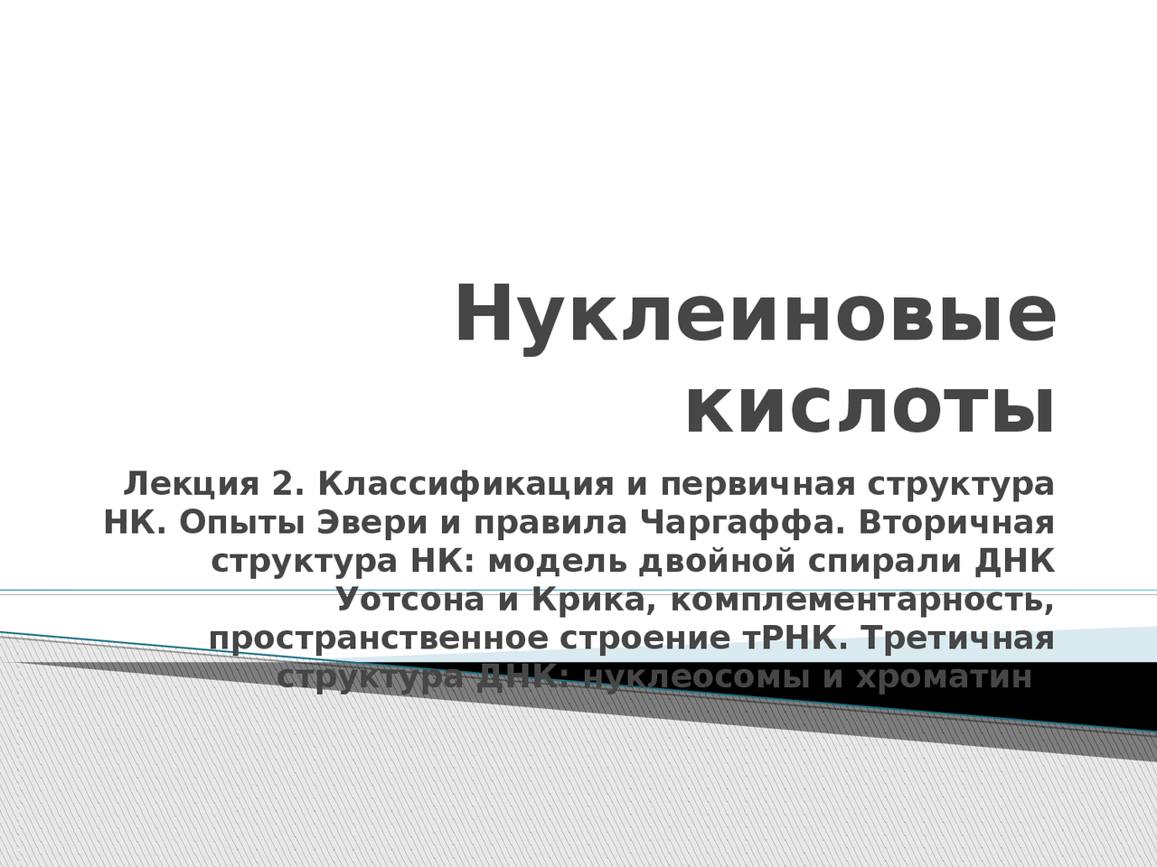 физиология человека для школьников Docsity