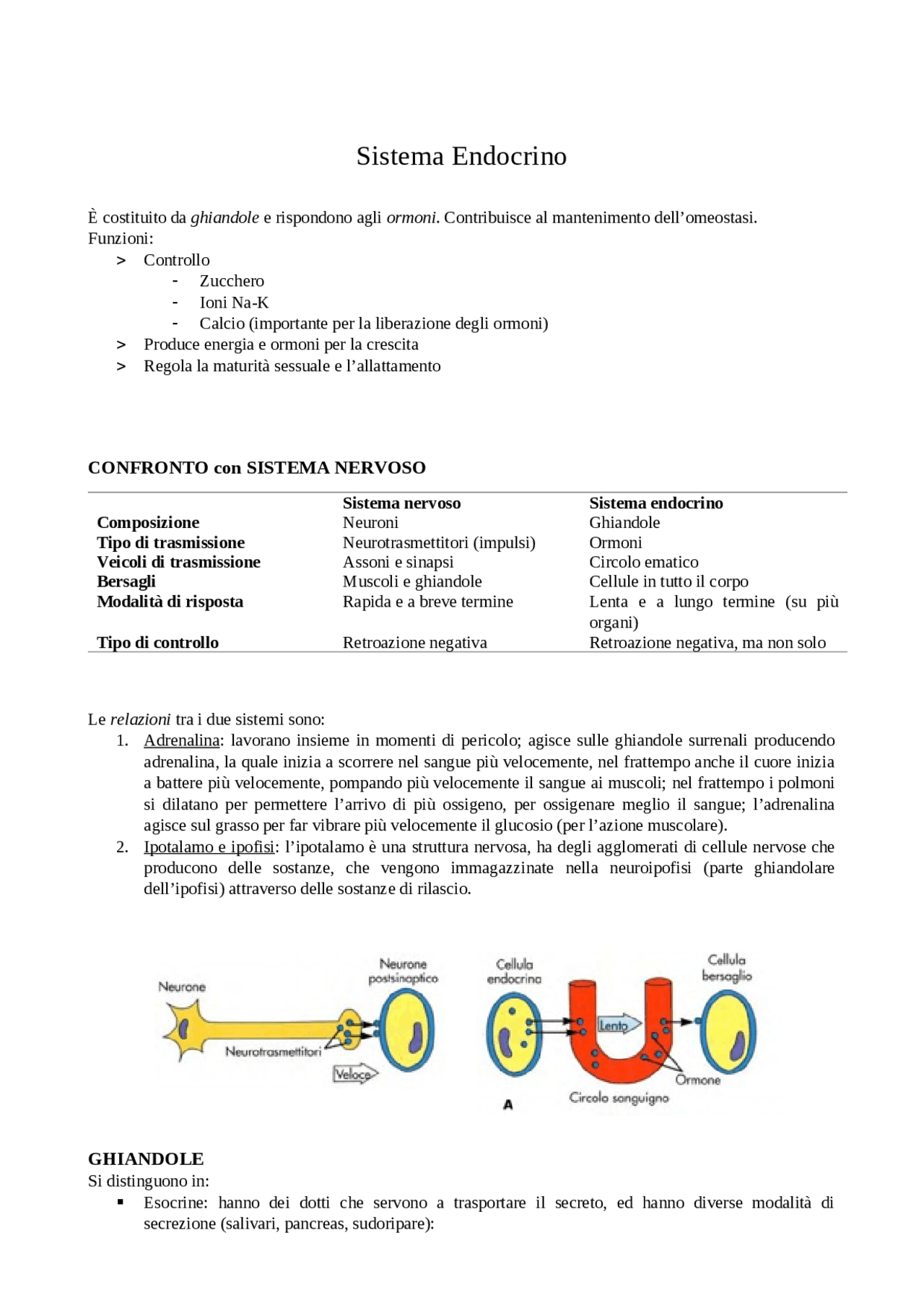 Sistema Nervoso Appunti Docsity