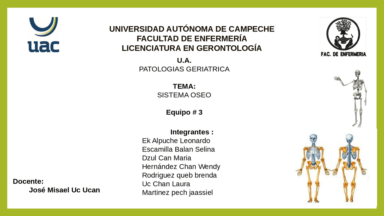 Diapositivas Del Sistema Oseo Docsity