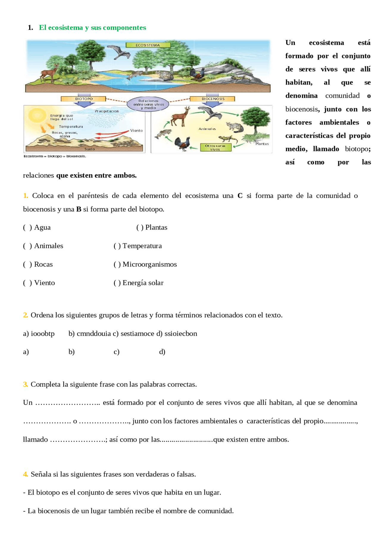 Actividades Ecosistemas Docsity