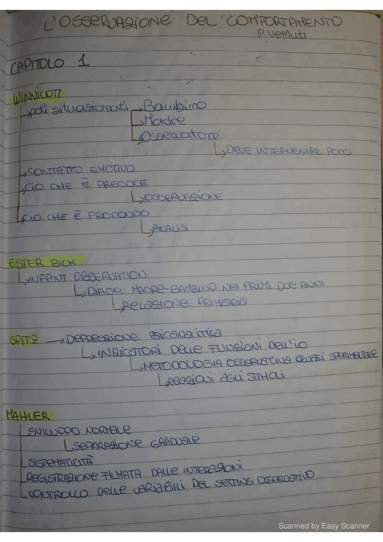 Osservazione Del Comportamento Infantile Schemi E Mappe Concettuali