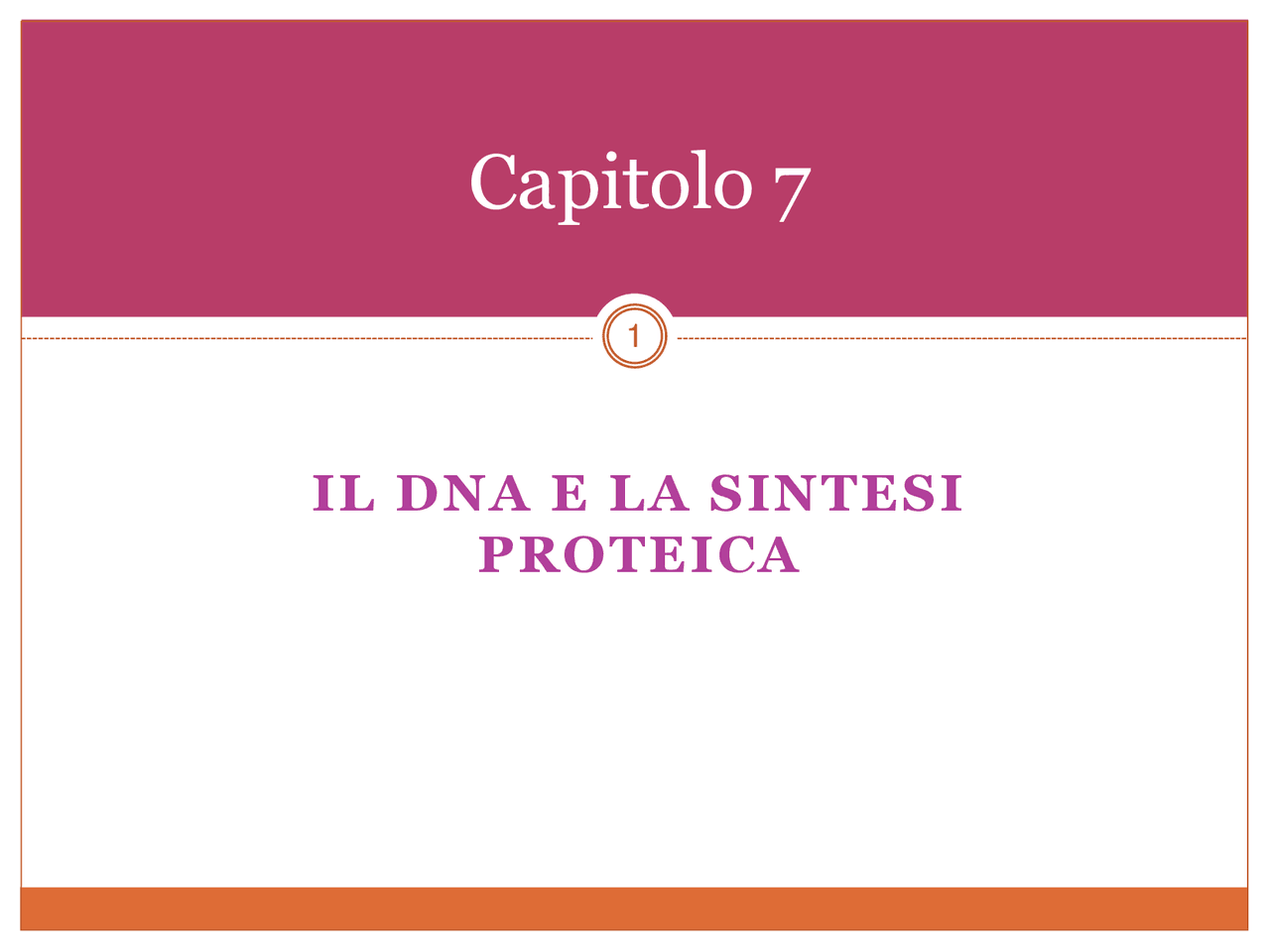 Acidi Nucleici Dna E Sintesi Proteica Docsity