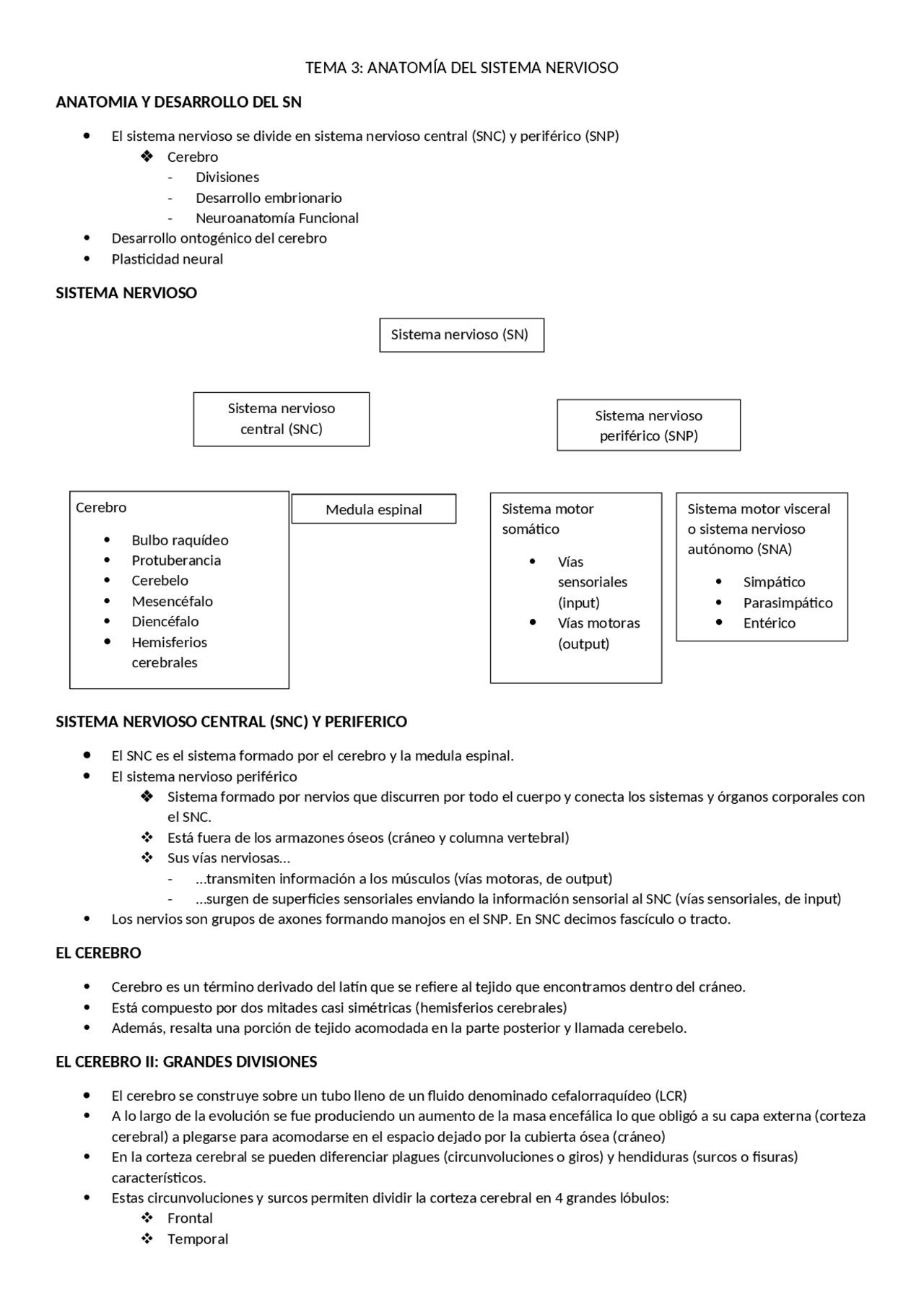 Tema 3 Anatomía Del Sistema Nervioso Docsity