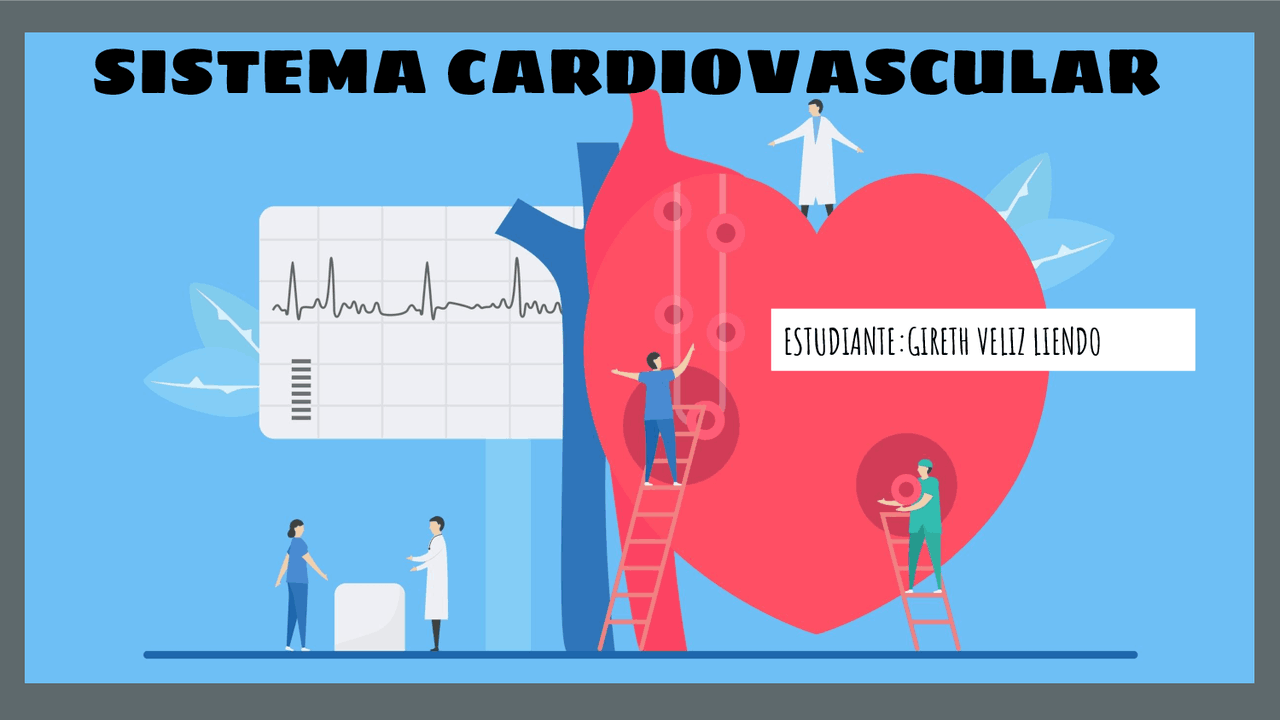Resumen de cardiovascular - Docsity