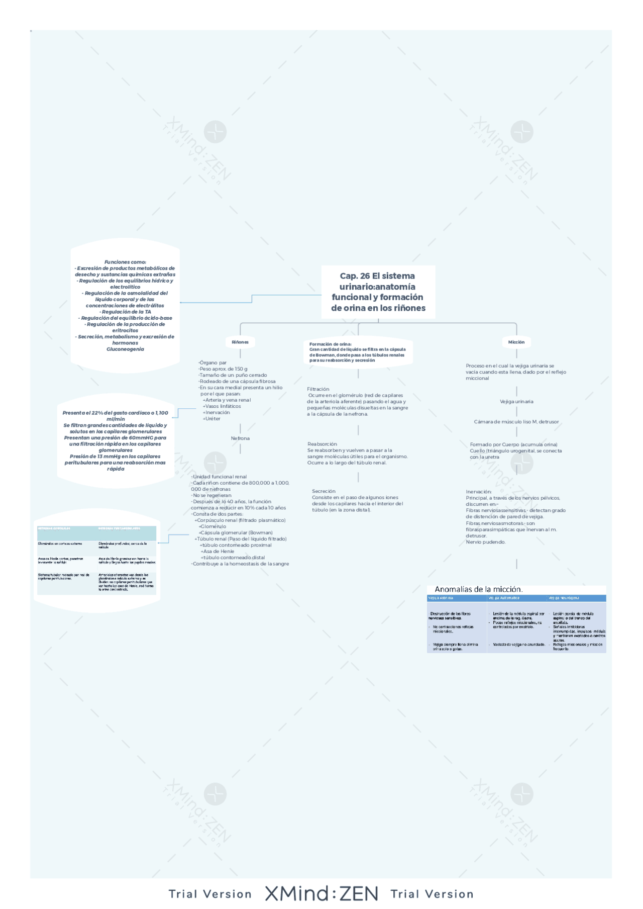 Capitulo 26 Guyton 13a edición - Docsity