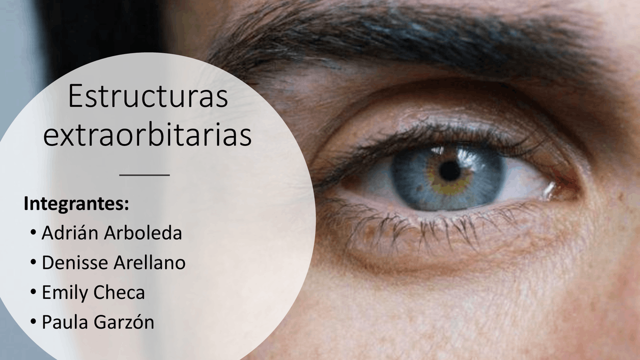 Anatomía extraorbitaria del ojo - Docsity