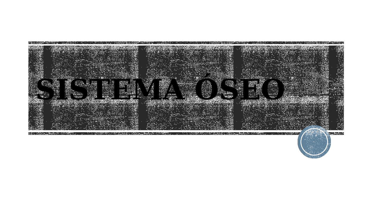 Sístema Óseo Anatomía Diapositivas De Anatomía Docsity