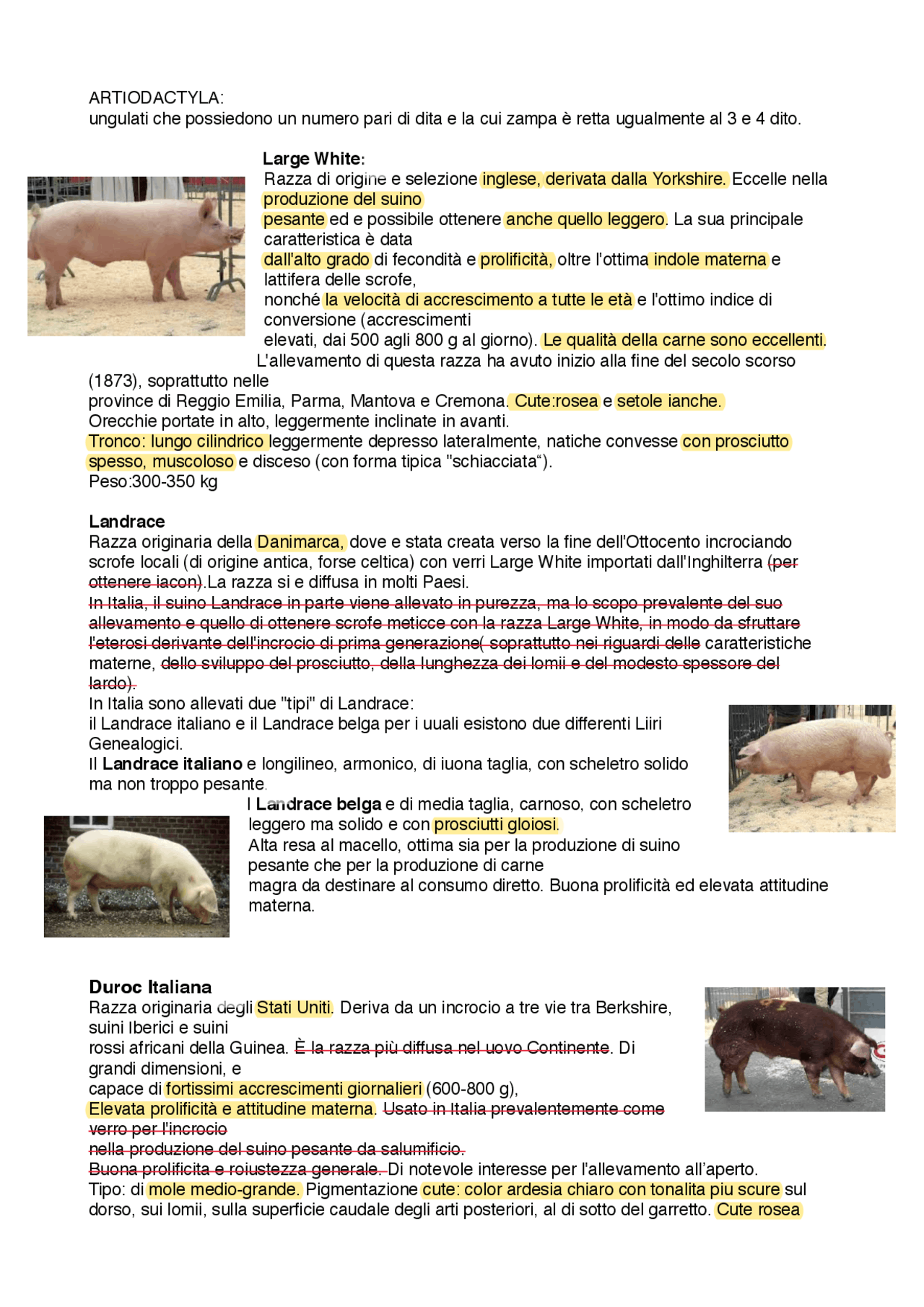 RAZZE SUINE LEZIONE ZOOTECNIA UNITE 1 ANNO TBA - Docsity