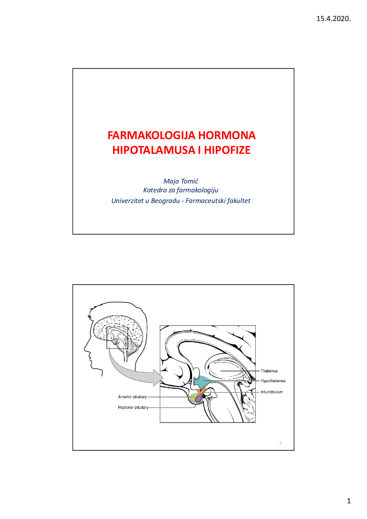 Farmakologija hipotalamusa i hipofize | Slajdovi' predlog Farmacija ...