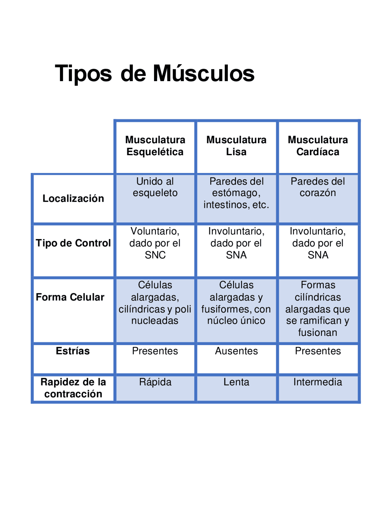 Tipos De Músculos Resumido | Esquemas y mapas conceptuales de Biología ...