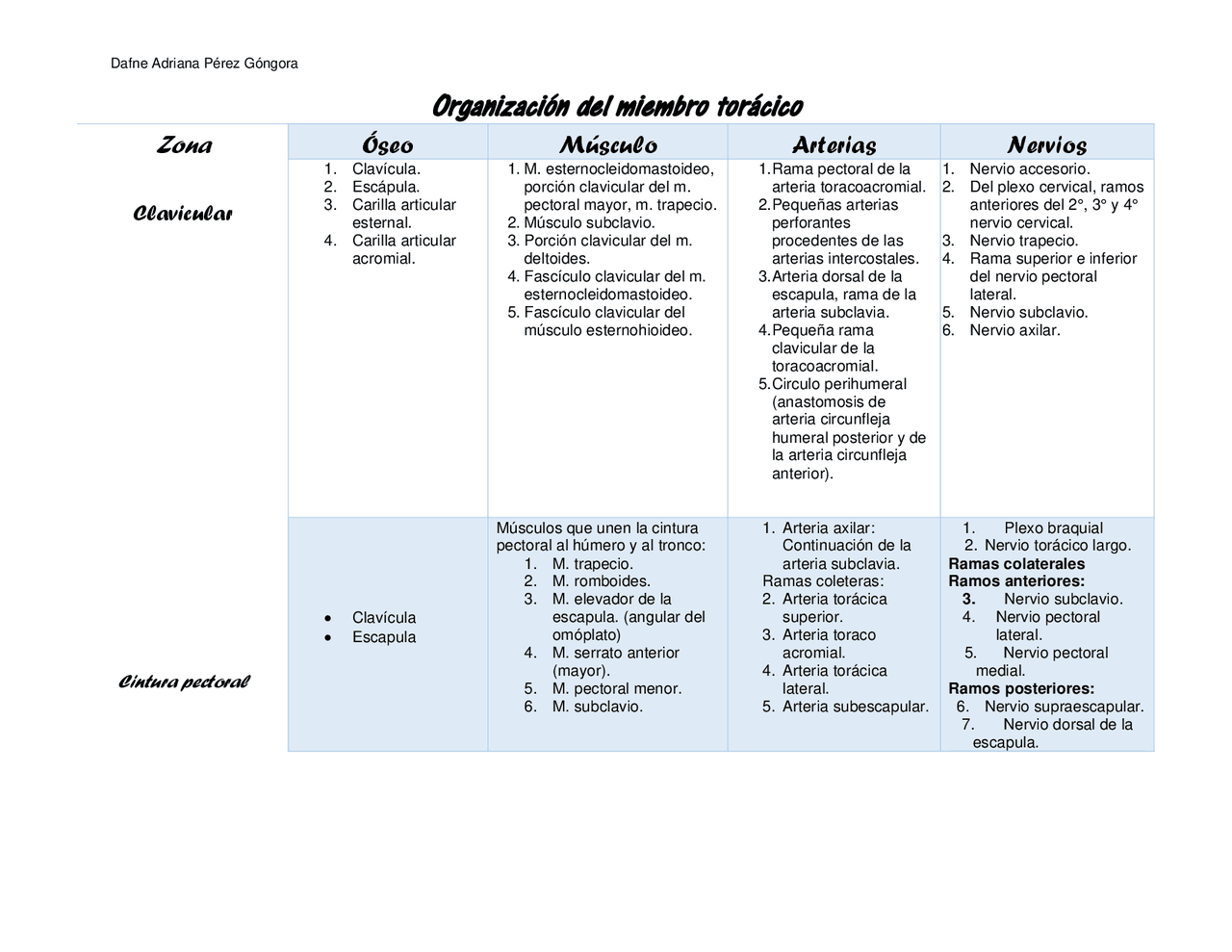 Músculos Del Miembro Torácico Docsity
