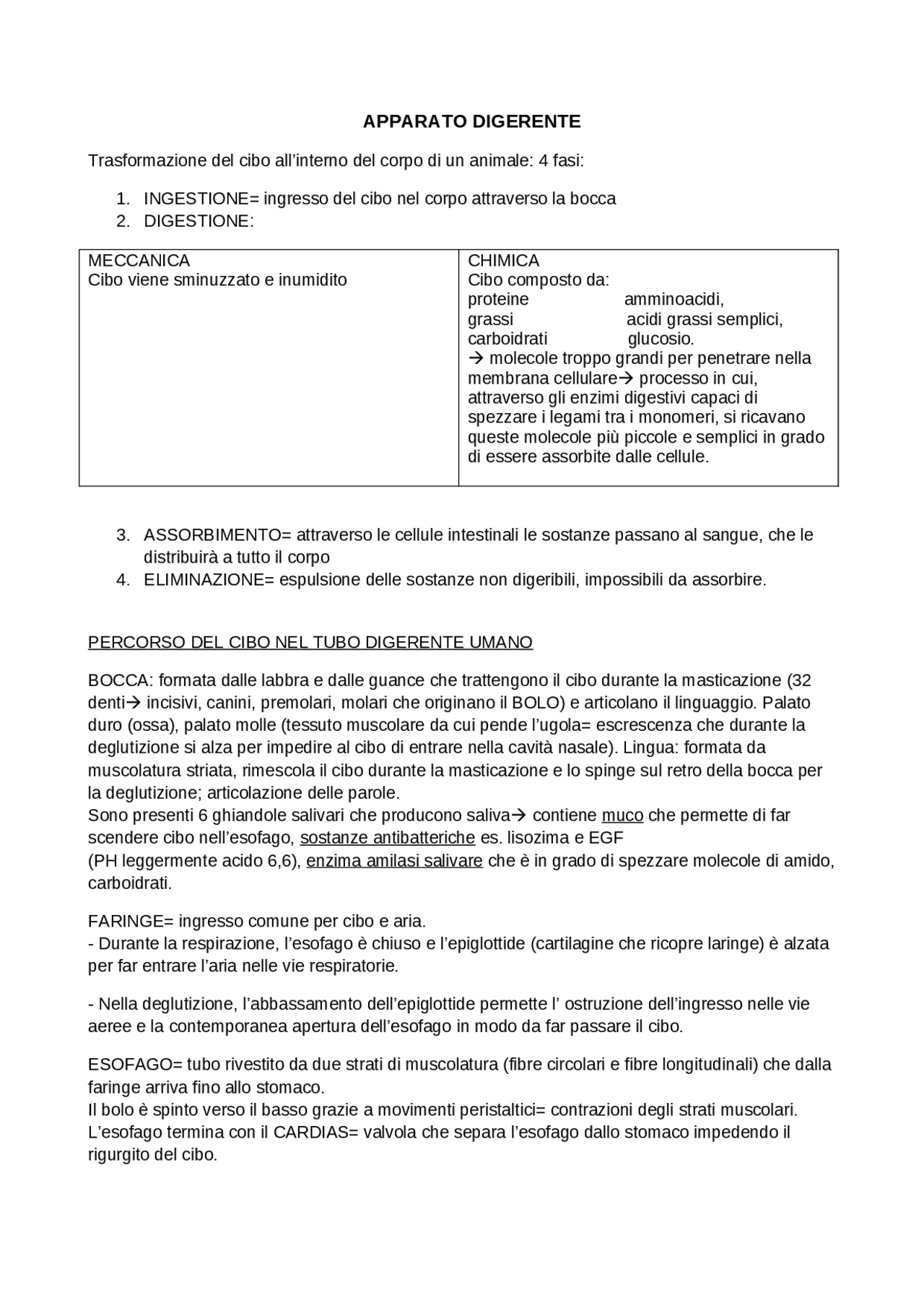 Lapparato Digerente Spiegazione Chiara E Completa Docsity