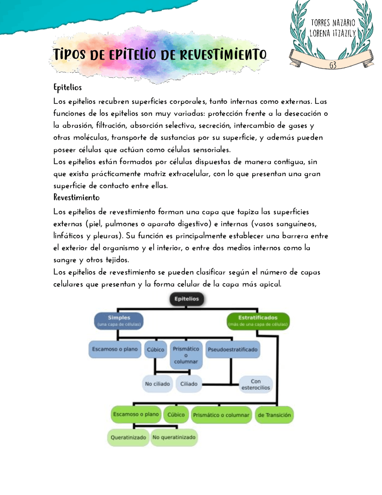 Epitelio De Revestimiento Docsity