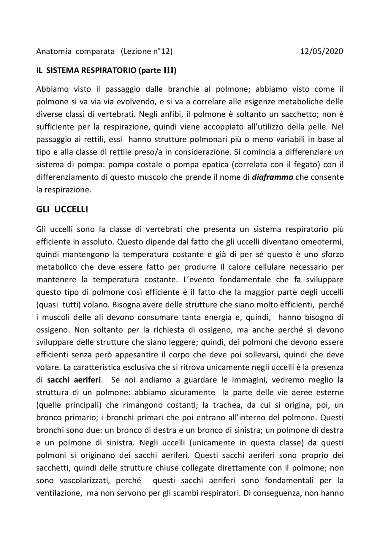Sistema Respiratorio Docsity
