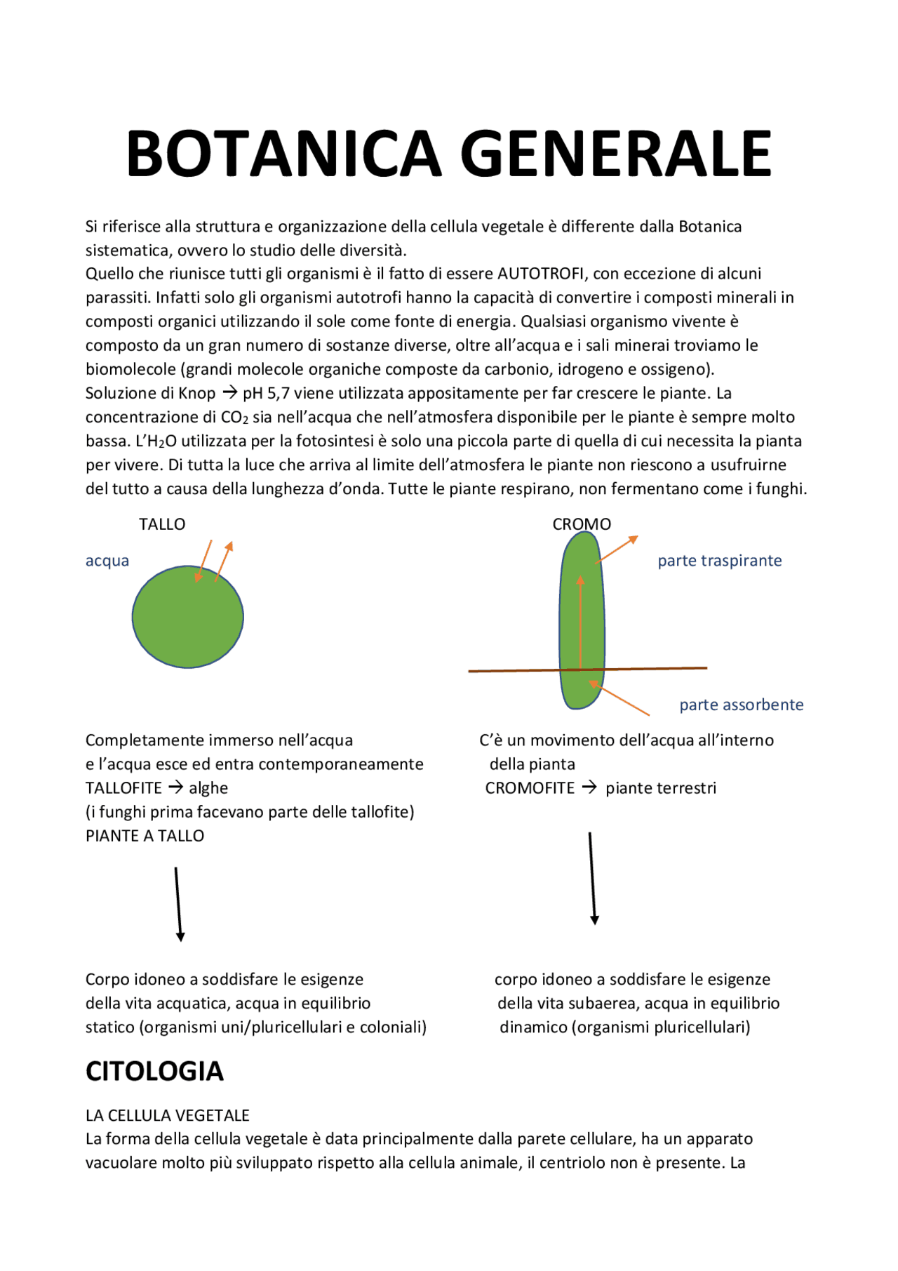 Botanica Generale Appunti E Schemi Docsity