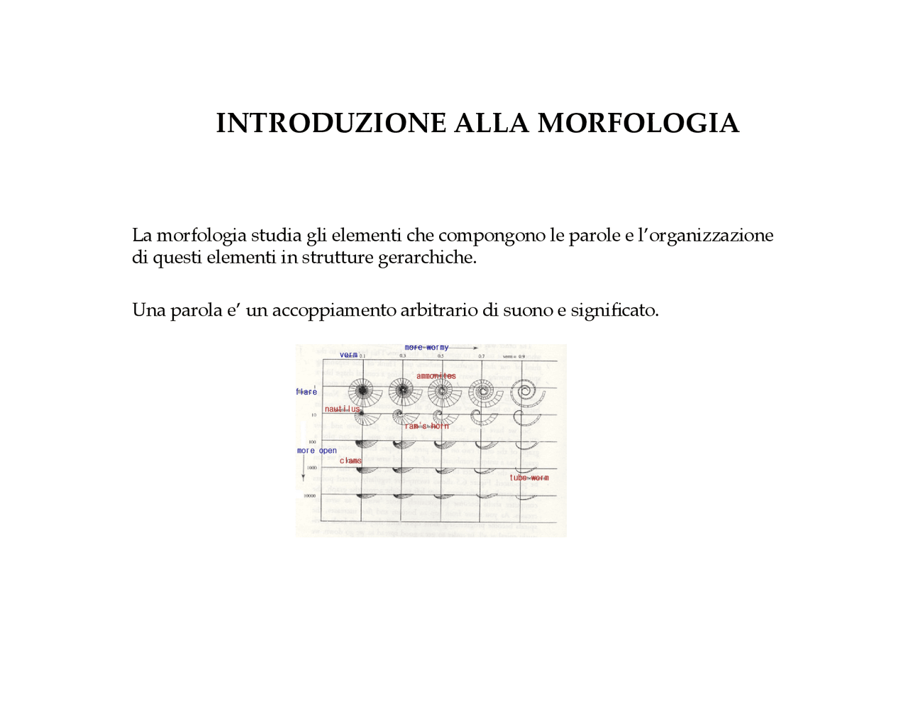 Appunti Di Fonologia Docsity