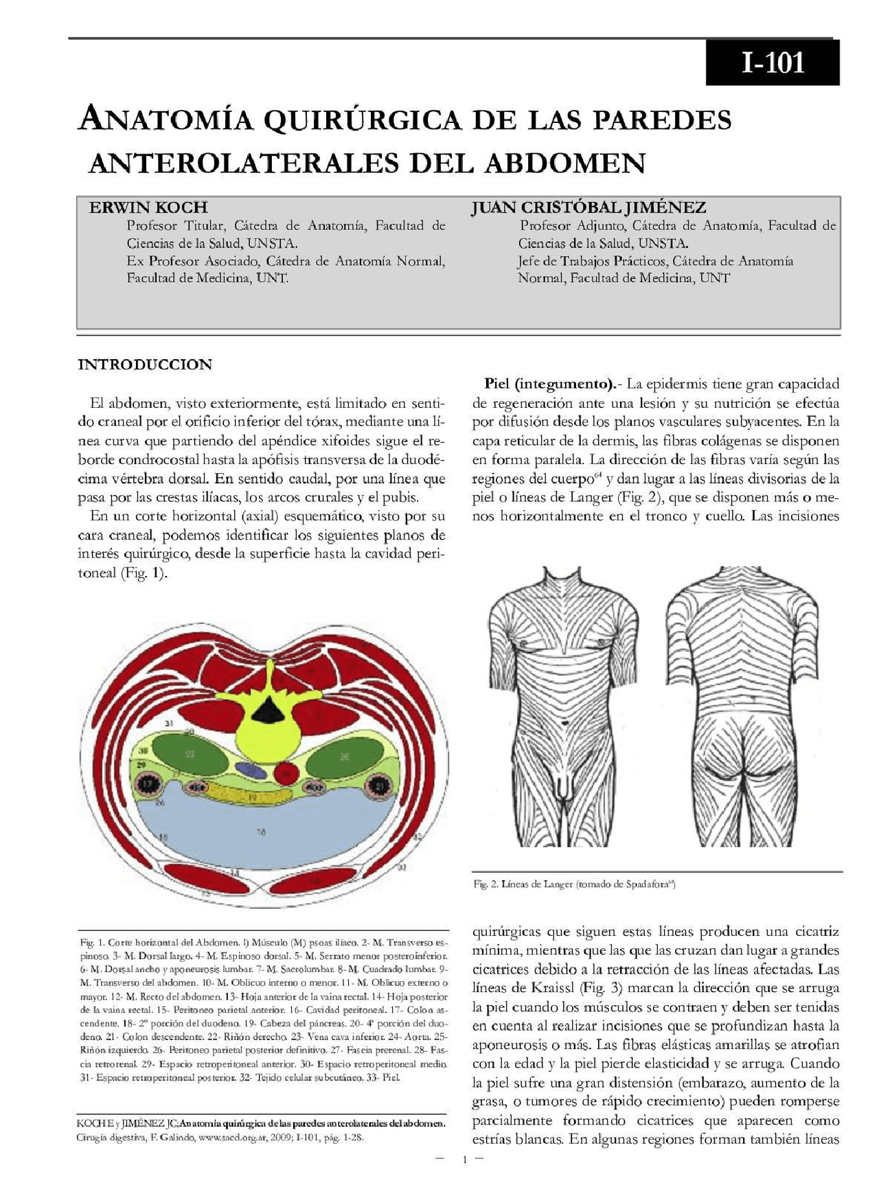 Tema De Anatomia Aplicada Monografías Ensayos De Anatomía Aplicada