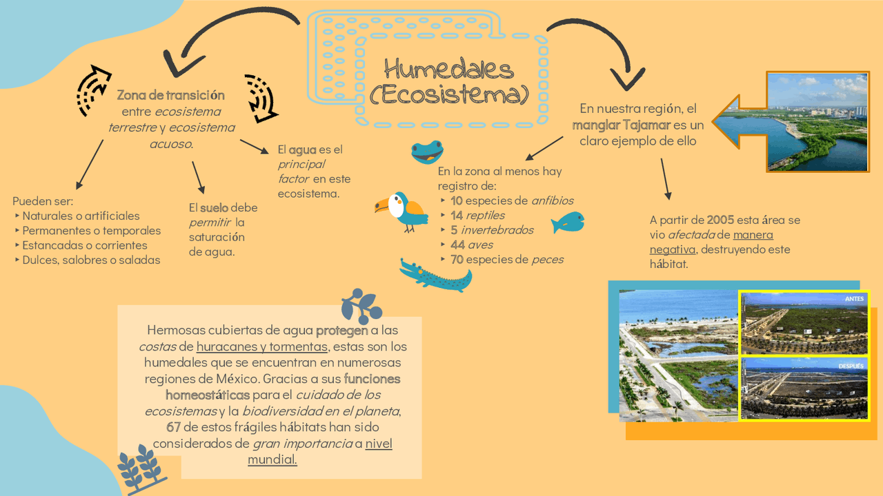 Ecosistema de humedales - Docsity