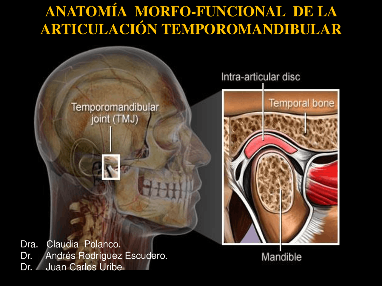 ATM articulacion temporo mandibular - Docsity