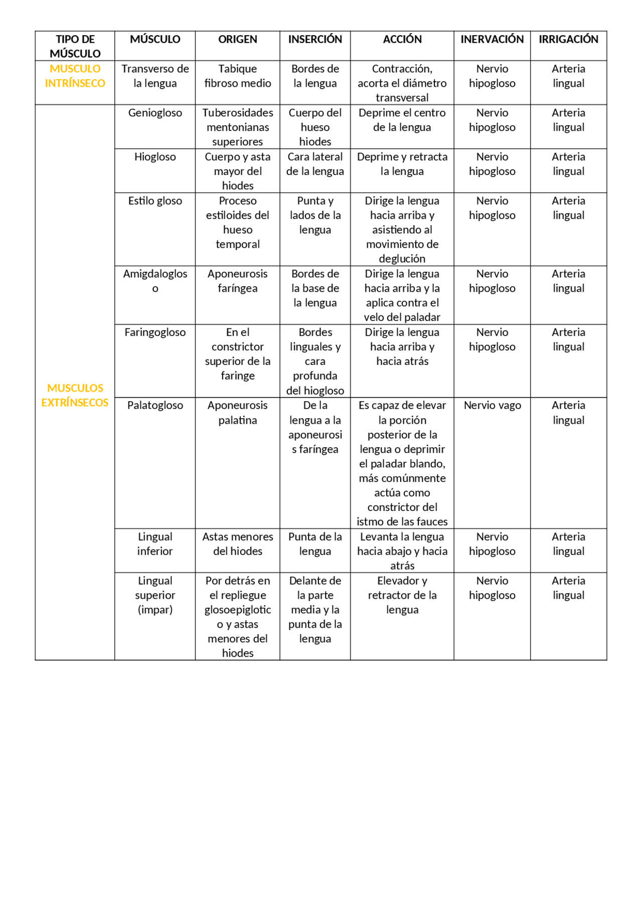 Arteria Lingual Hiogloso
