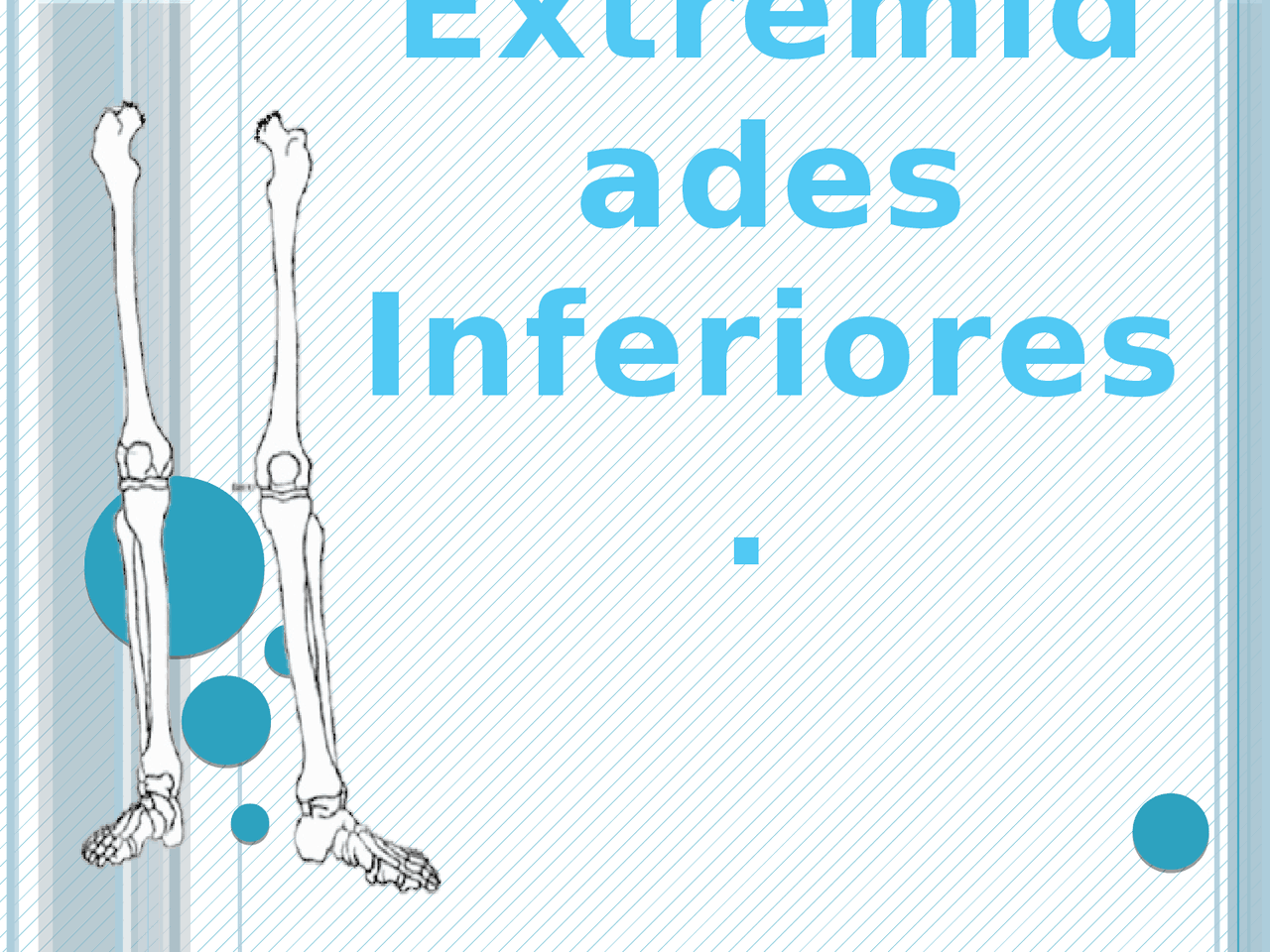 Huesos "extremidades inferiores" | Diapositivas de Anatomía - Docsity