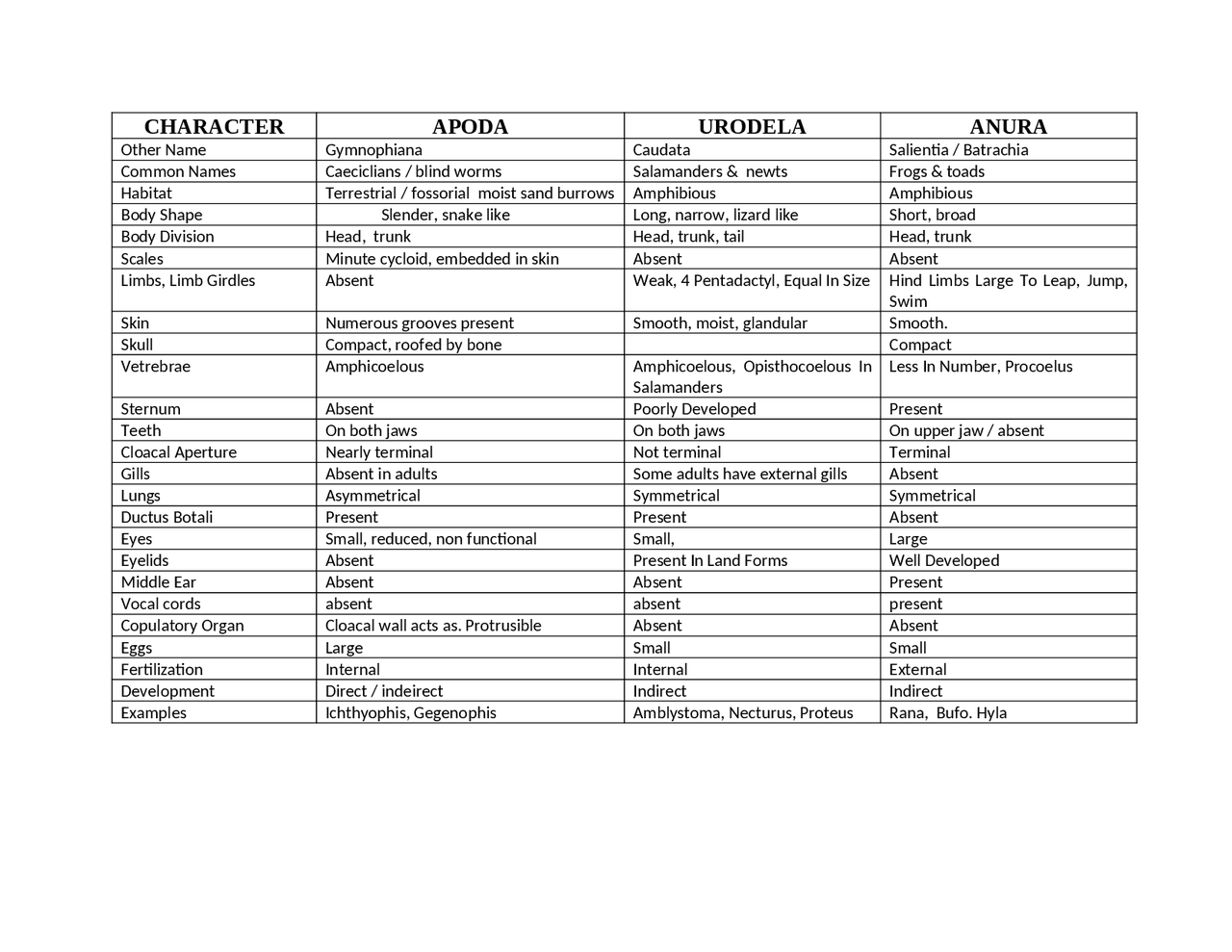 Amphibia Classification Docsity