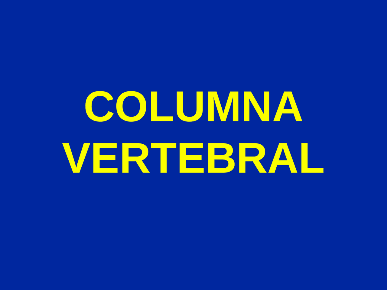 Presentacion De Columna Vertebral Diapositivas De Anatomía Docsity