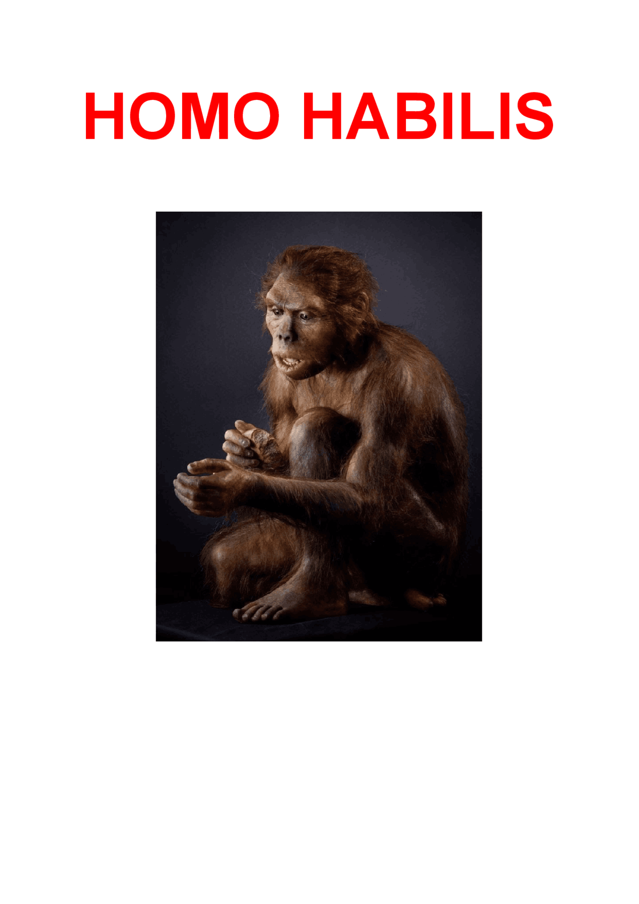 Resumen sobre el Mono Habilis - Docsity