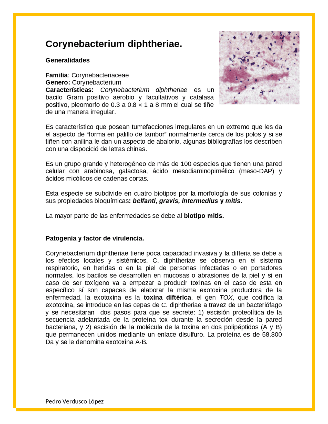 Corynebacterium diphteriae - Docsity