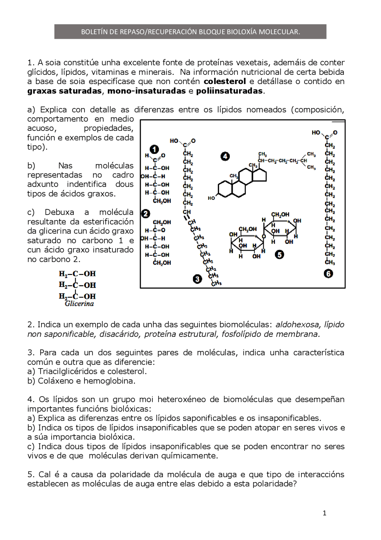 Ejercicios Biologia Para Repasar Docsity