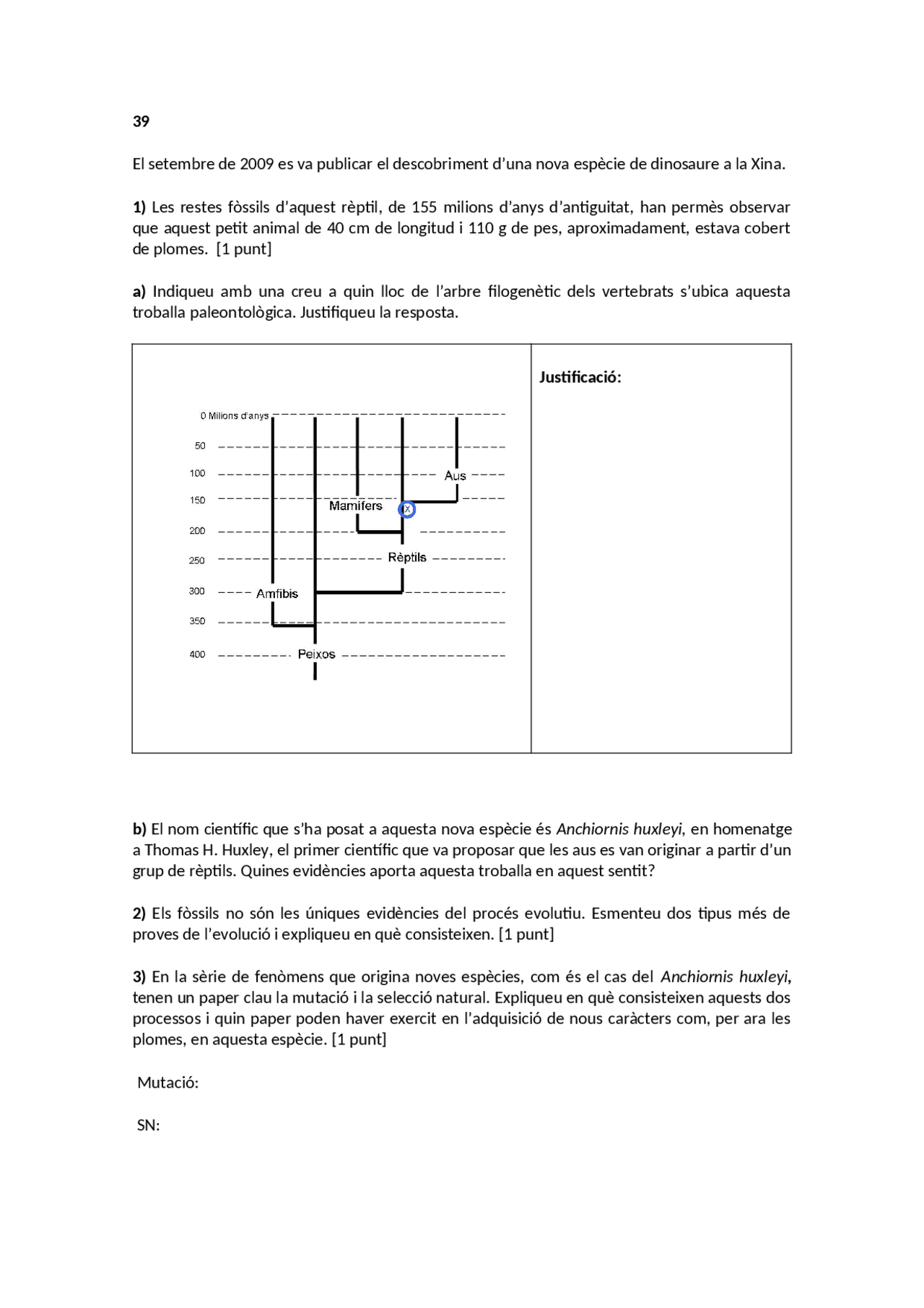 Selectivitat Catalunya Evolució Docsity