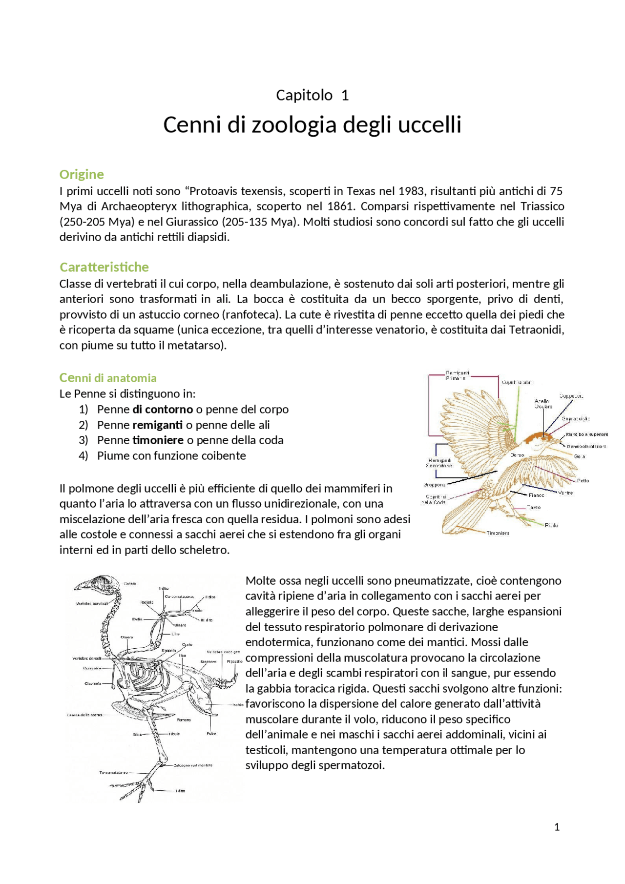 Riconoscimento e gestione dei galliformi in montagna - Docsity