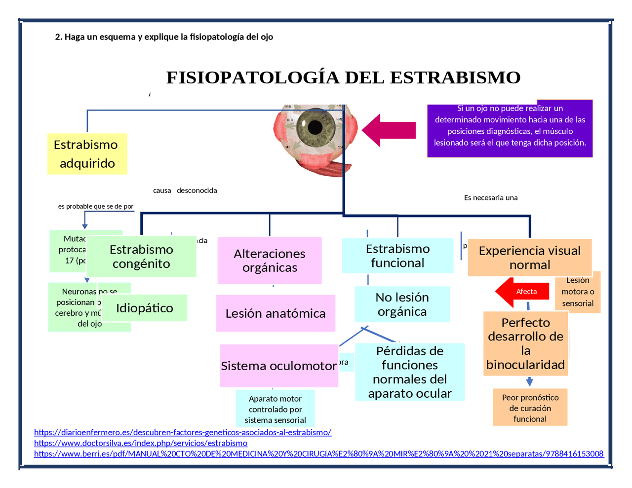 FISIOPATOLOGÍA DEL ESTRABISMO - Docsity