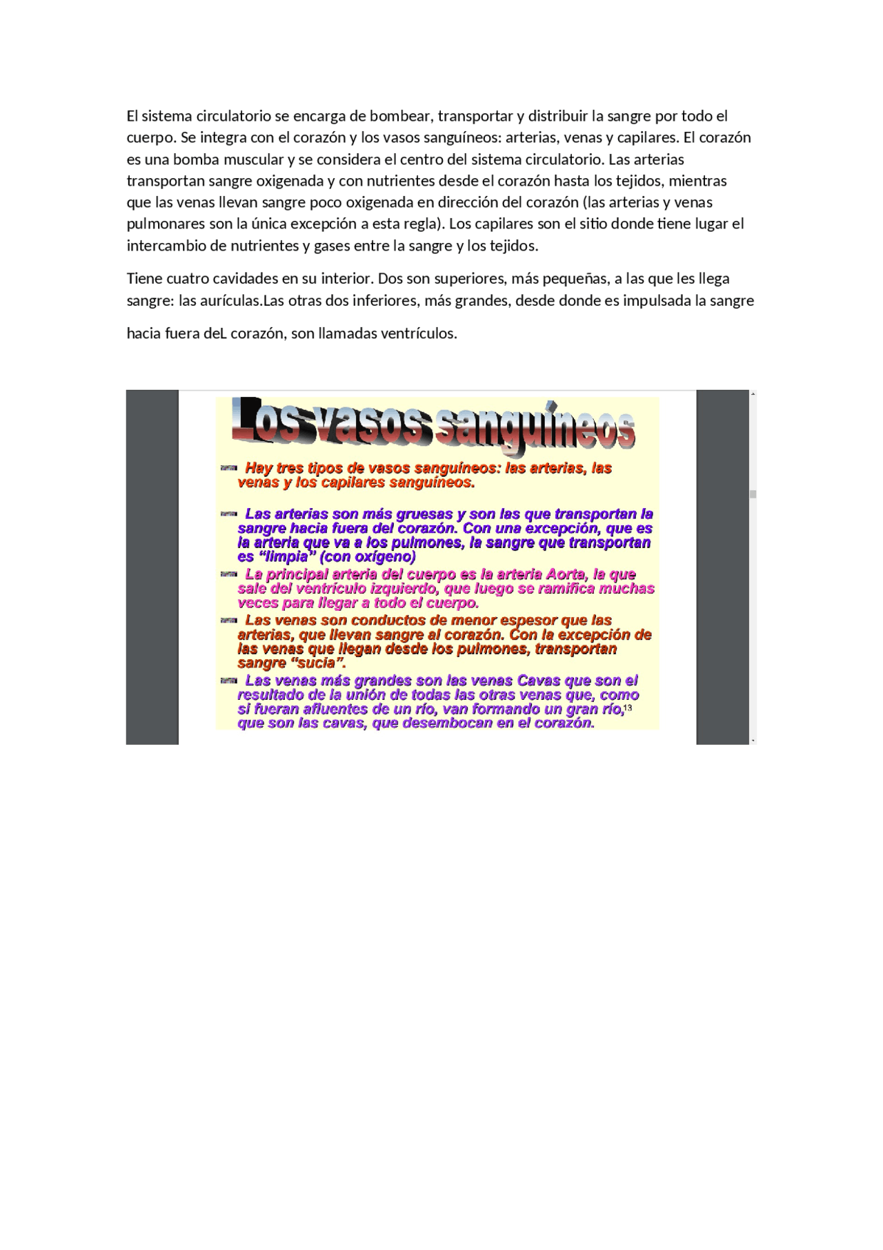Sistema Circulatorio Docsity