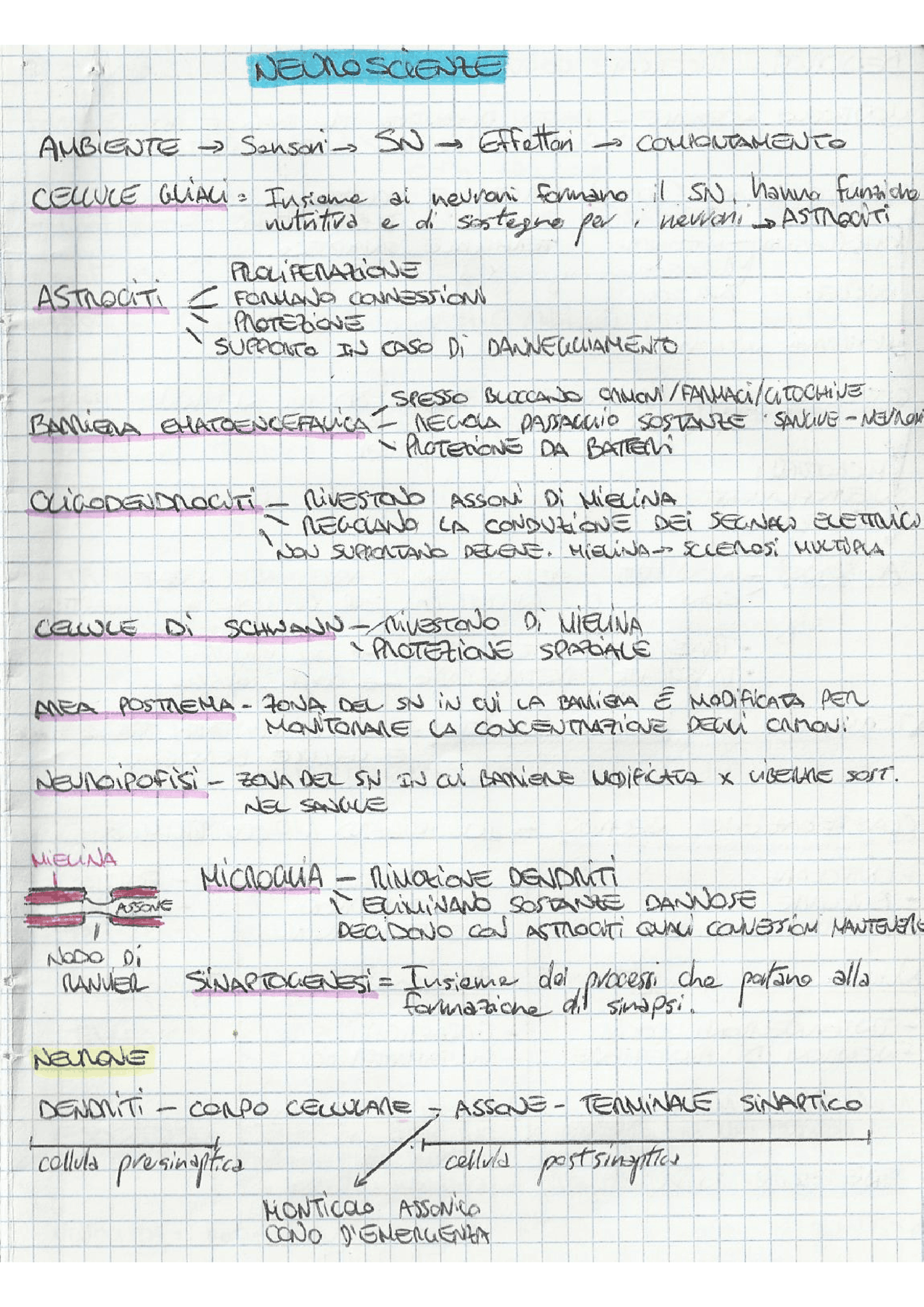 Neuroscienze Schemi Pre Esame Docsity