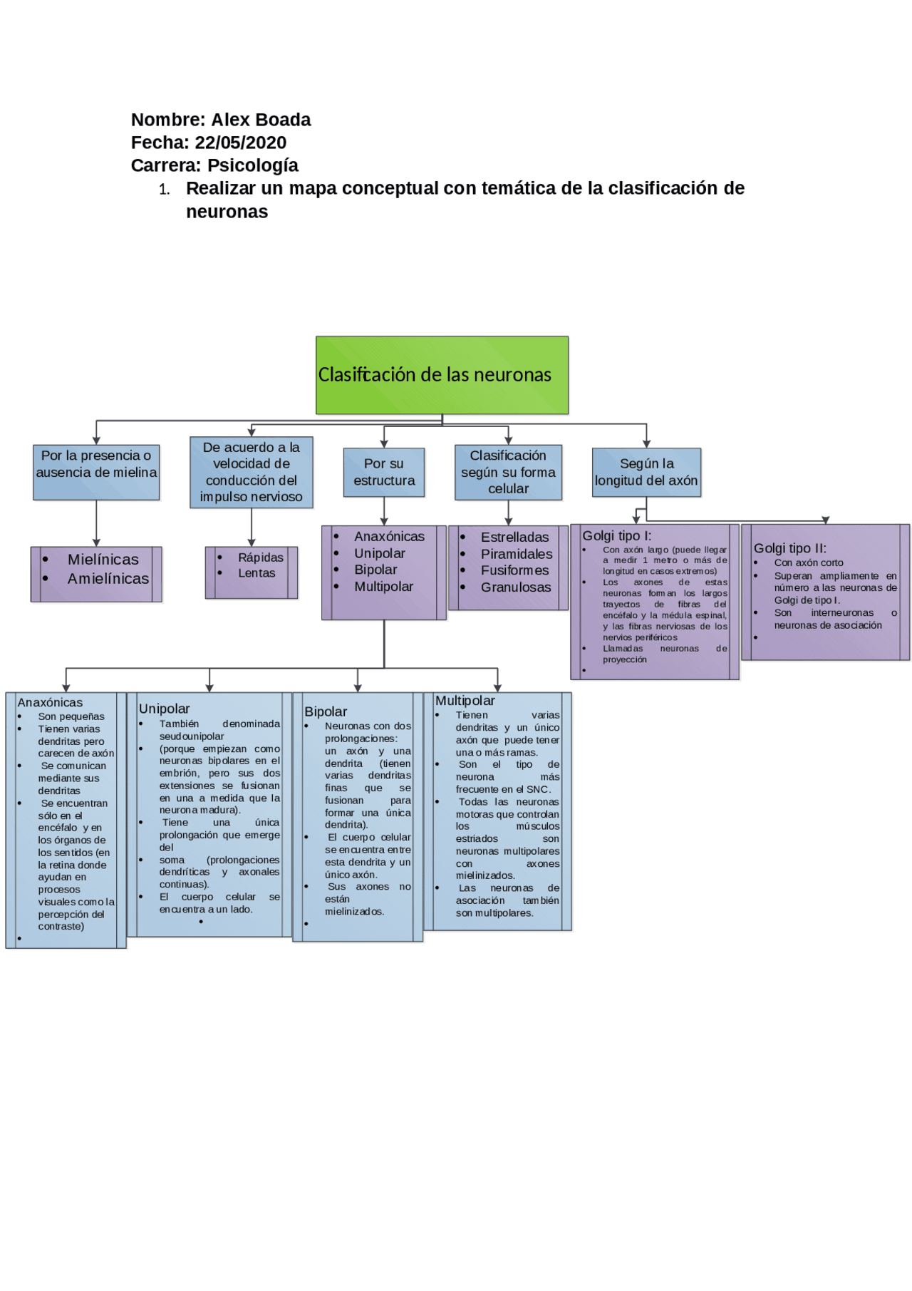Clasificación De Neuronas Docsity
