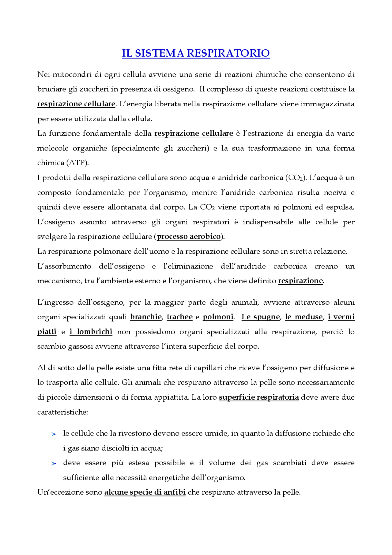 Sistema Respiratorio Docsity