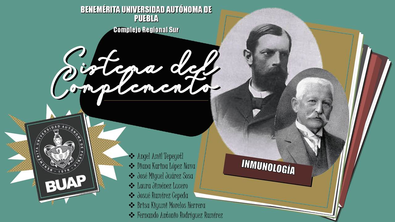 Sistema Del Complemento Diapositivas De Inmunología Docsity