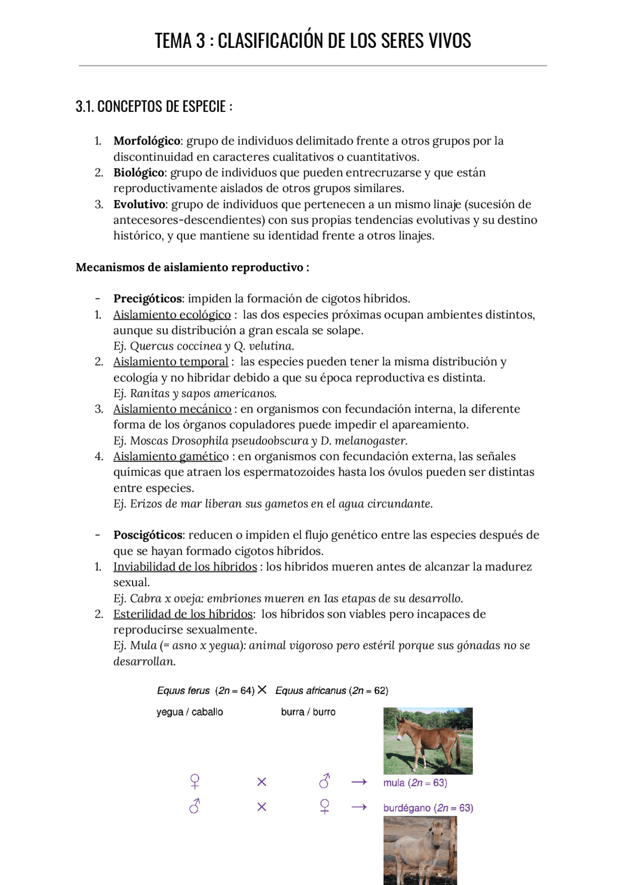 Apuntes BiologÍa ClasificaciÓn De Lo Seres Vivos Docsity