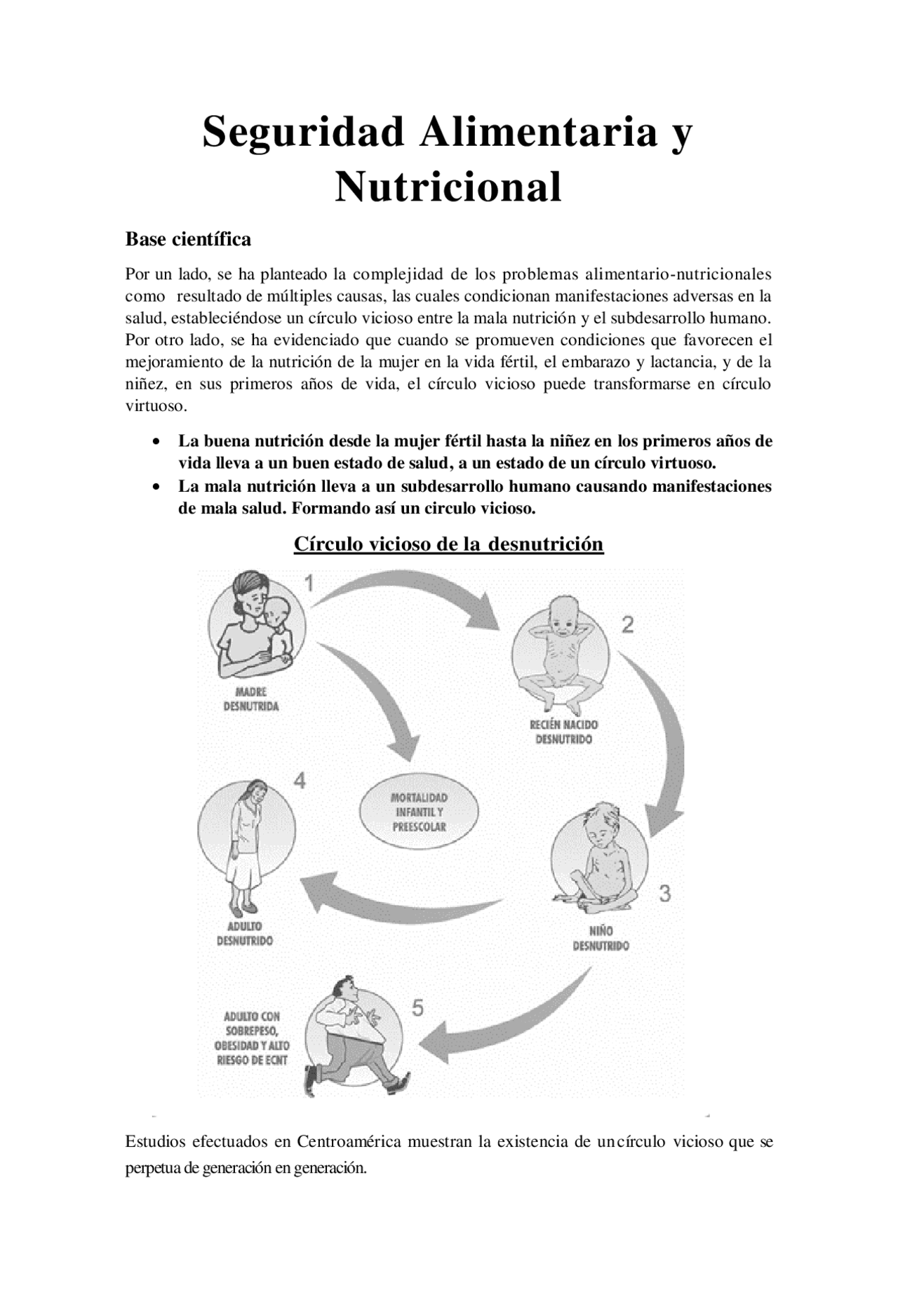 Resumen de Seguridad Alimentaria y Nutricional(SAN) - Docsity