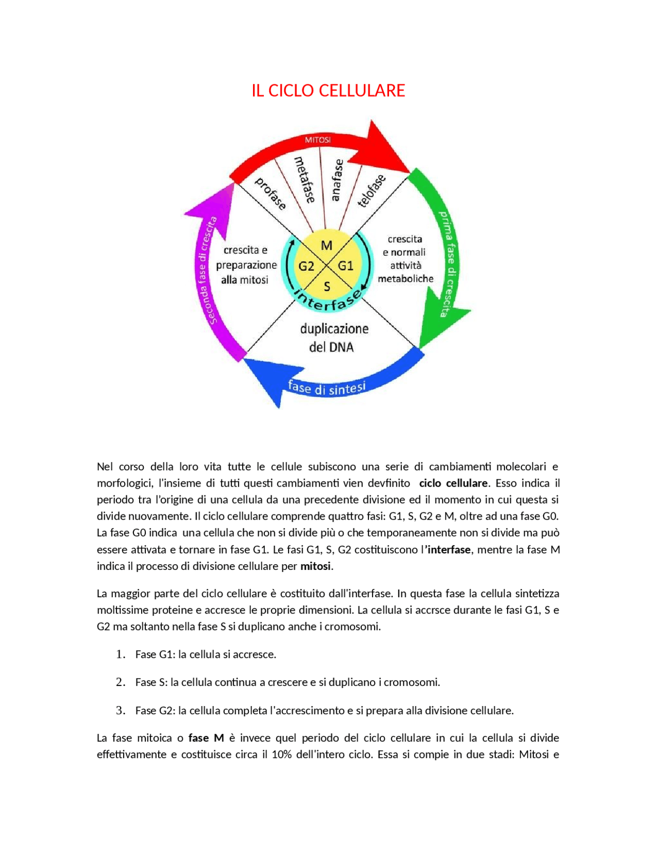 Il ciclo cellulare appunti - Docsity