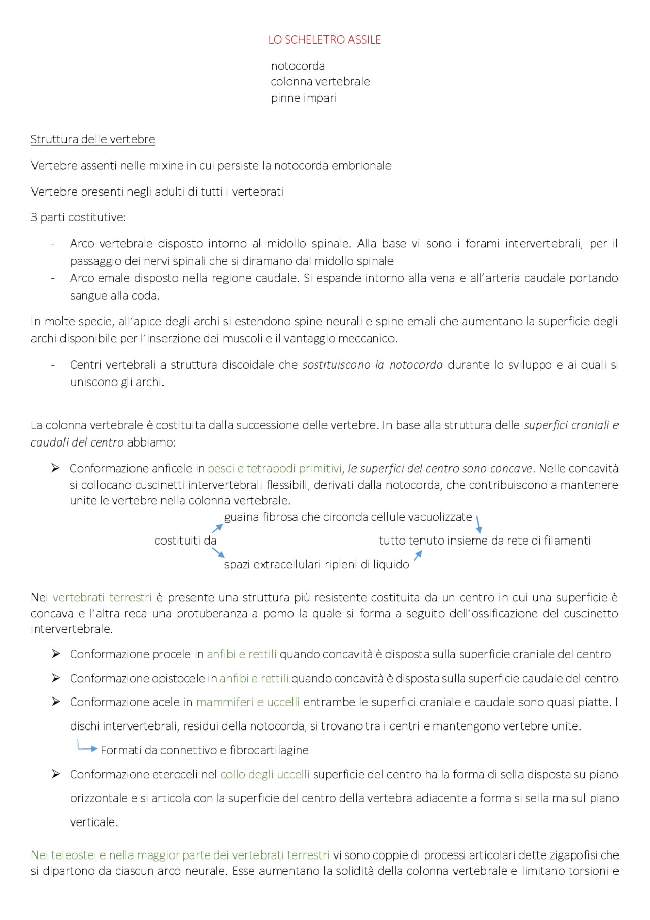 Descrizione dello scheletro assile - Docsity