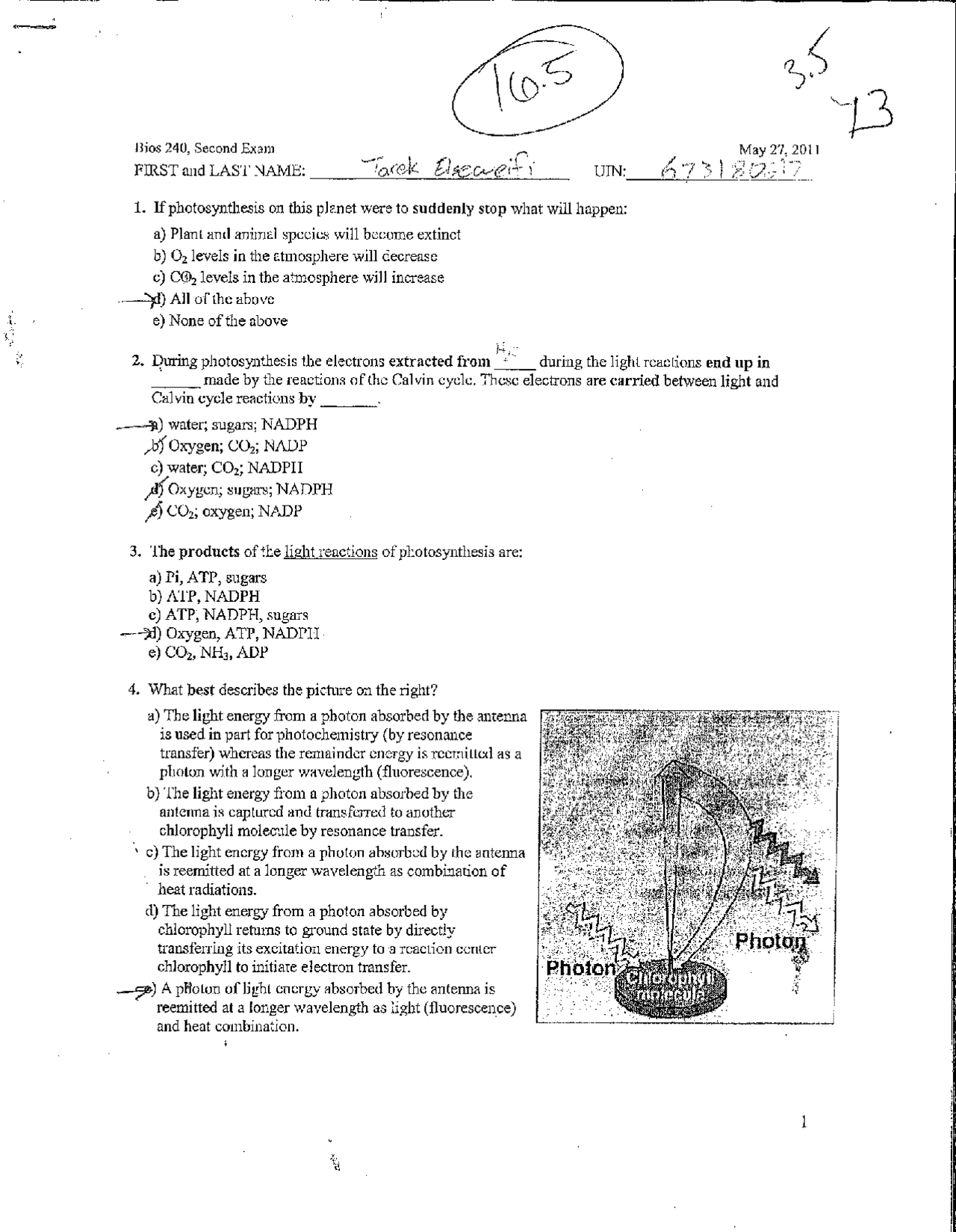 The Physiology of Plants and Animals Second Exam: Solved Questions ...