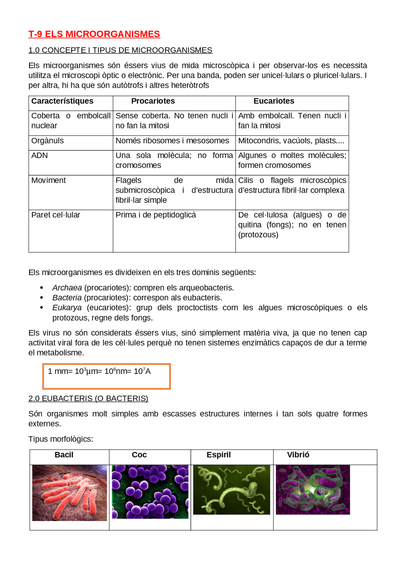 Microorganismes I Biotecnologia Docsity