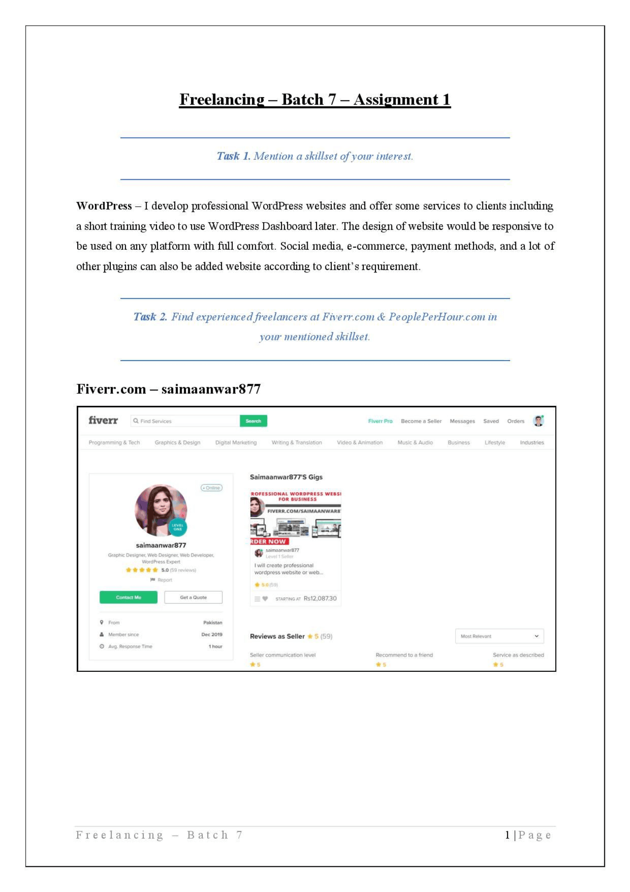 Digiskills Batch 7 Freelancing Assignment 1 Docsity